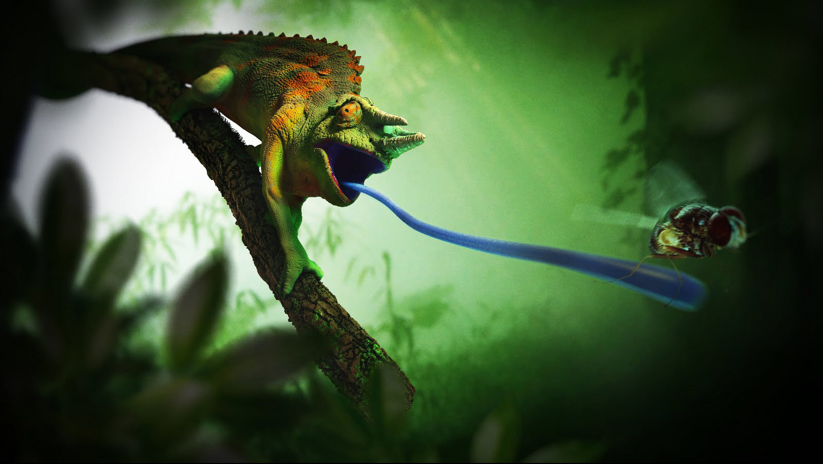 Surreal Graphics: Chameleon | Coolvibe – Digital Art